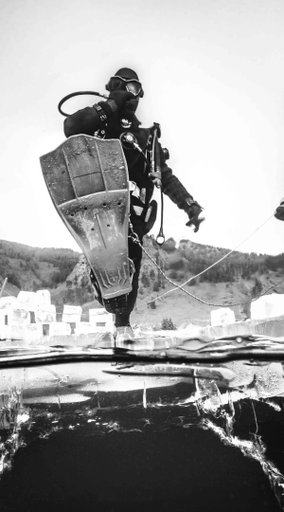 Poseidon Diving Systems