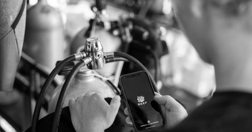 Poseidon Diving Systems